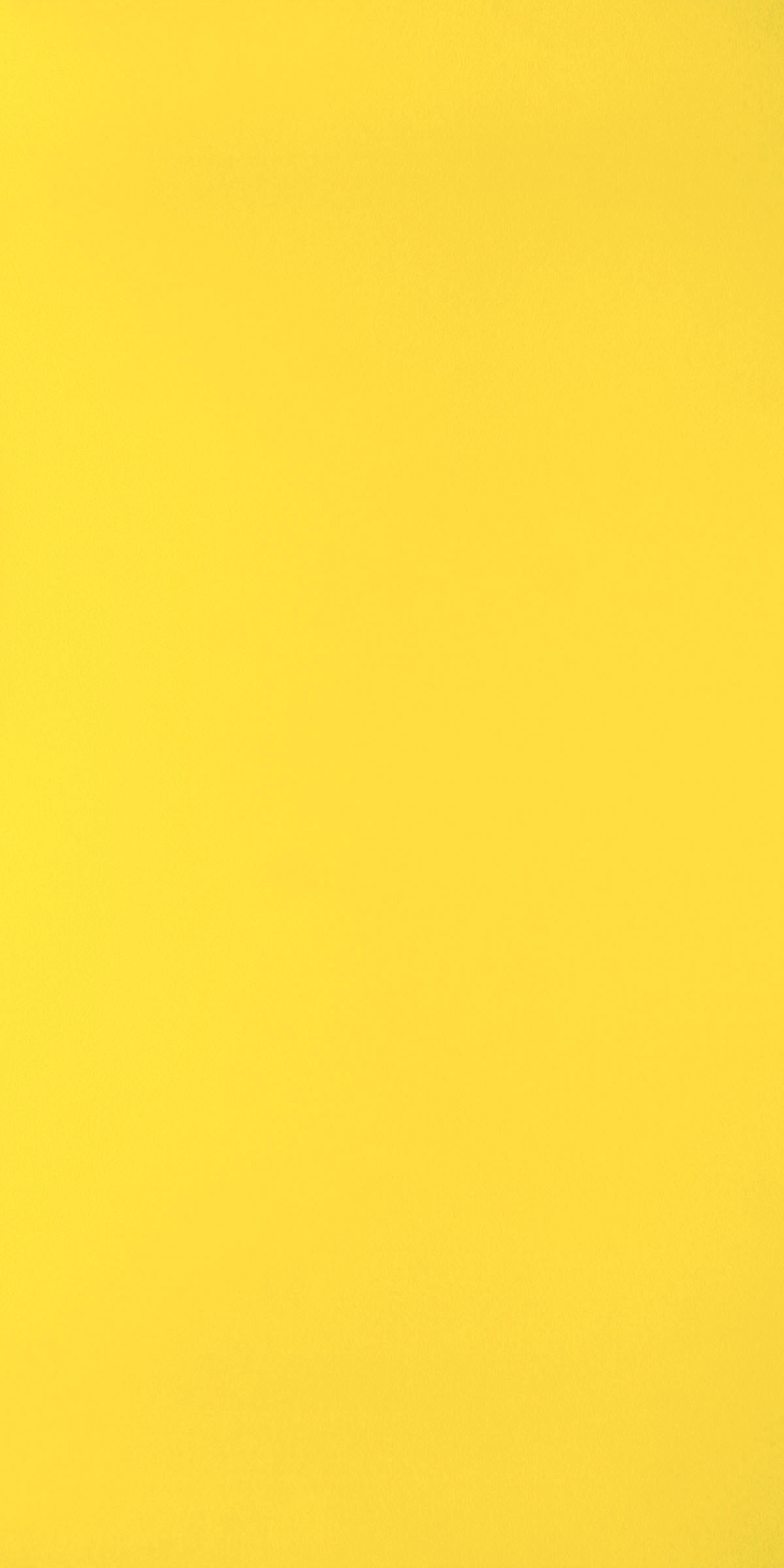 Mineral Yellow Exterior Wall Cladding in India | Greenlam Clads